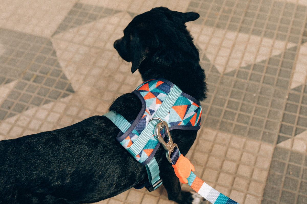 Ella Air Mesh Plus Harness – ADD Brands